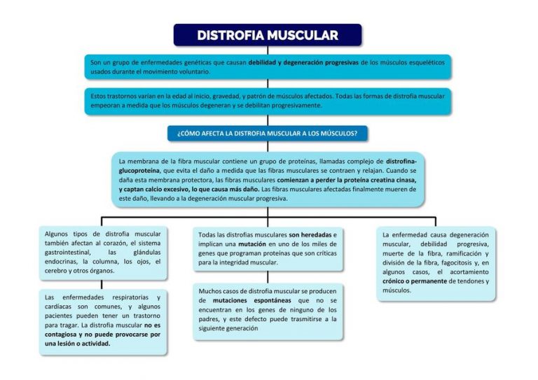 Tipos de distrofia muscular | Actualizado agosto 2025